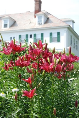 JUNIPER HILL INN - CLOSED - Updated January 2026 - 20 Reviews - 153 ...