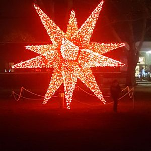 THE DEVIL’S TREE - Updated January 2025 - Mountain Rd, Basking Ridge ...