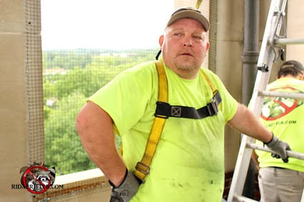 RID-A-CRITTER - Updated December 2025 - 15 Photos & 37 Reviews ...