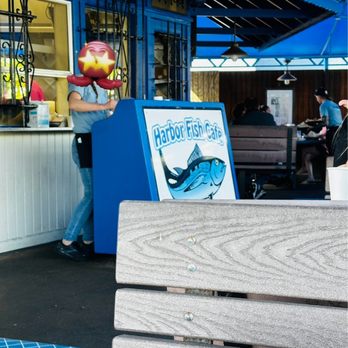 HARBOR FISH CAFE - Updated August 2024 - 697 Photos & 842 Reviews ...