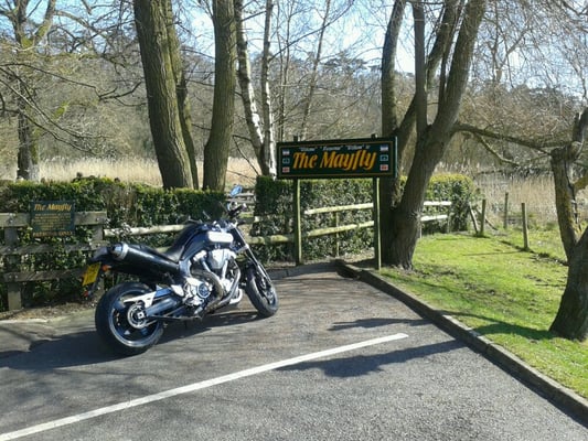 The Mayfly - Trusted Since 2008 - Updated July 2025 - 10 Photos ...