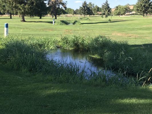 SUNTIDES GOLF COURSE - Updated December 2025 - 11 Photos - 231 Pence Rd ...