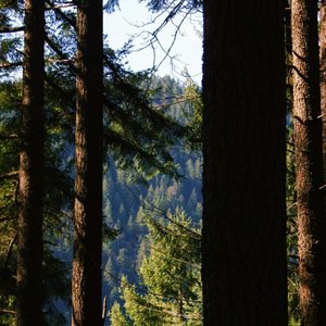 POO POO POINT - CHIRICO TRAIL - 408 Photos & 143 Reviews - Hiking ...