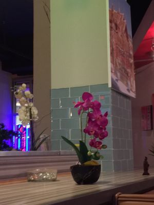 SHUI ASIAN FUSION - 118 Photos & 109 Reviews - 274 North Goodman St ...