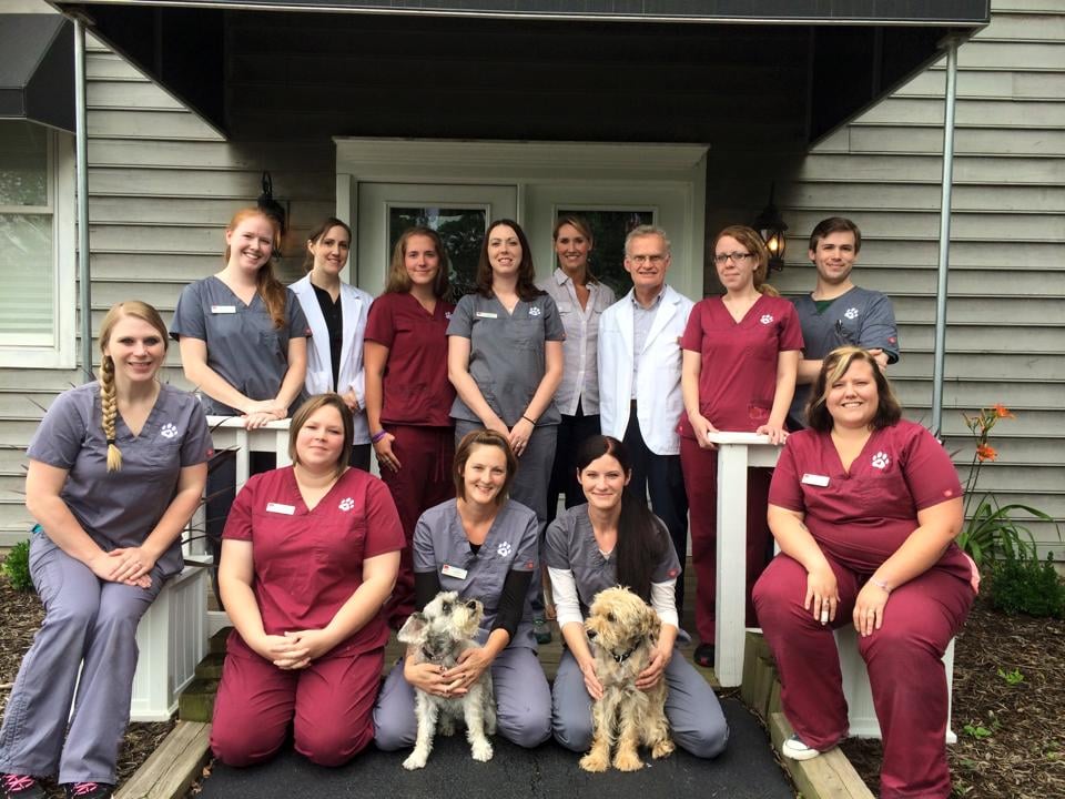 ASHBURN VETERINARY HOSPITAL - Updated October 2025 - 20 Reviews & 20 ...