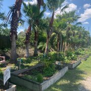 CRAZY DINGO BREWING - 79 Photos & 36 Reviews - 8500 Penzance Blvd, Fort ...