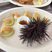 SANTA BARBARA SHELLFISH COMPANY - 5633 Photos & 2824 Reviews - 230 ...