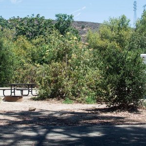 WALNUT RV PARK - 27 Photos & 63 Reviews - 19130 Nordhoff St, Northridge ...