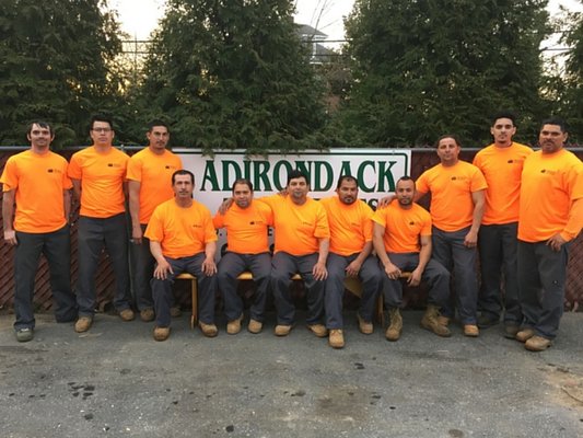 ADIRONDACK TREE EXPERTS - Updated September 2025 - 36 Photos & 86 ...