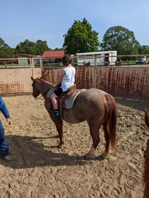 KIAMICHI RIVER TRAIL RIDES - Updated October 2025 - Talihina, Oklahoma ...