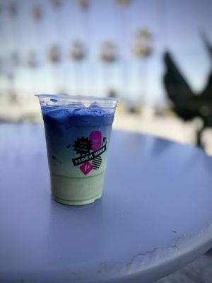 PARAKEET CAFE - Updated January 2026 - 52 Photos & 29 Reviews - 1155 ...