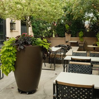 ANANDA - Updated January 2026 - 695 Photos & 725 Reviews - 7421 Maple ...