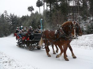 JINGLE BELL CHOCOLATE TOUR AT NESTLENOOK FARM - Updated December 2025 ...