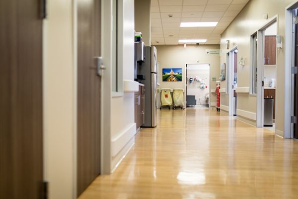 AUSTIN EMERGENCY CENTER - SOUTH LAMAR - Updated December 2025 - 54 ...