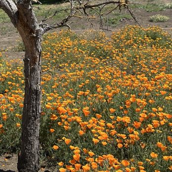 SHELL RIDGE OPEN SPACE - Updated October 2025 - 61 Reviews & 424 Photos ...