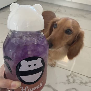 MINI MONSTER CAFE - Updated July 2024 - 66 Photos & 24 Reviews - 2233 ...