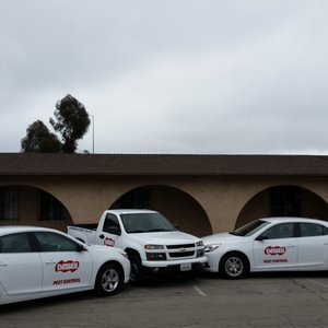 CORKY’S PEST CONTROL - 32 Photos & 498 Reviews - 909 Rancheros Dr, San ...