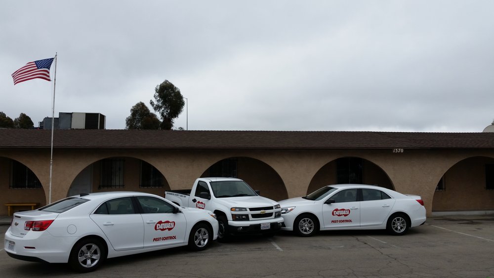 DEWEY PEST & TERMITE CONTROL - Updated October 2025 - 64 Reviews - 1370 ...