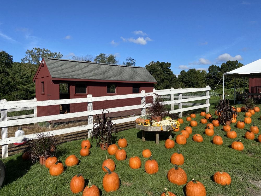 HALAS FARM MARKET - 31 Photos & 17 Reviews - 28 Pembroke Rd, Danbury ...