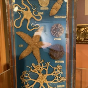 ECOTARIUM - Updated January 2026 - 452 Photos & 92 Reviews - 222 ...
