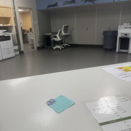 PENINSULA HUMANE SOCIETY & SPCA - Updated October 2025 - 83 Photos ...