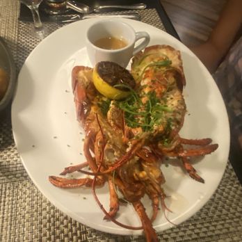 STARK’S STEAK & SEAFOOD - Updated August 2024 - 1711 Photos & 1714 ...