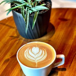 THE OPTIMIST - Updated July 2025 - 219 Photos & 134 Reviews - 1000 ...