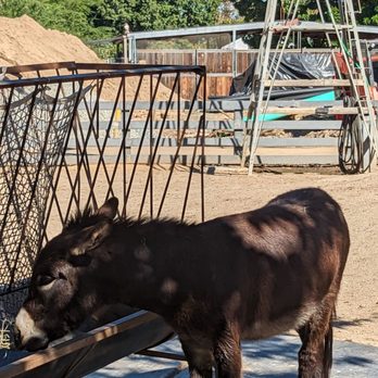 SANTA ANA ZOO - 1346 Photos & 675 Reviews - 1801 E Chestnut Ave, Santa ...