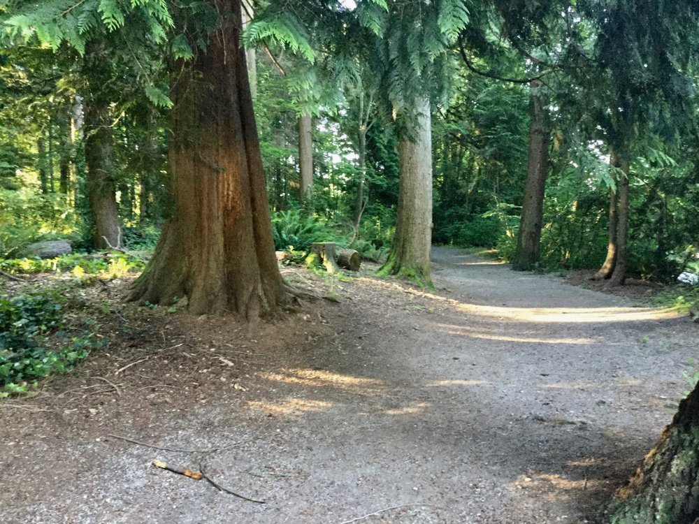 SIMON FRASER HILLS PARK - Updated May 2024 - 74 Photos - 9025 Centaurus ...