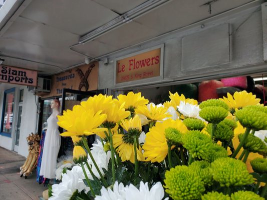 Le Flowers Honolulu Hi | Best Flower Site