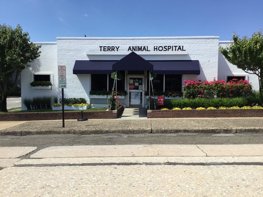 TERRY ANIMAL HOSPITAL - Updated January 2026 - 16 Photos & 48 Verified ...