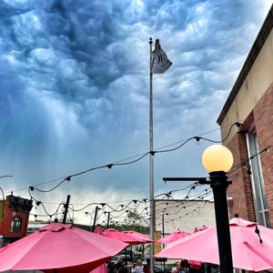 SHADY GROVE - Updated May 2025 - 30 Photos & 51 Reviews - N6240 State ...