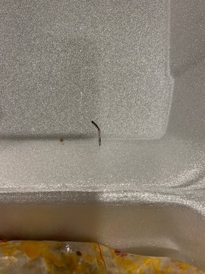 ALBERTO’S MEXICAN FOOD - Updated August 2025 - 22 Photos & 110 Reviews ...