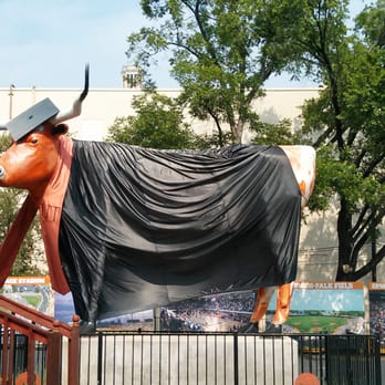 UNIVERSITY CO-OP - AUSTIN - Updated December 2024 - 210 Photos & 94 ...