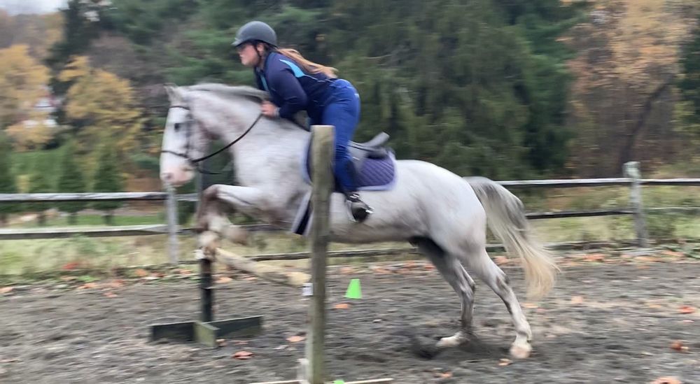 RIDING IN REDDING - Updated December 2025 - 26 Photos - 301 Redding Rd ...