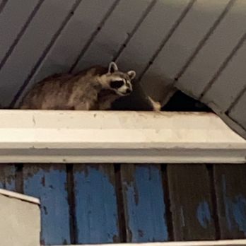 ADDISON ICE ARENA - Updated December 2025 - 13 Photos & 20 Reviews ...