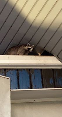 ADDISON ICE ARENA - Updated September 2025 - 13 Photos & 20 Reviews ...