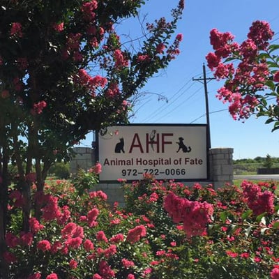 ANIMAL HOSPITAL OF FATE - Updated December 2025 - 10 Reviews - 1001 N ...