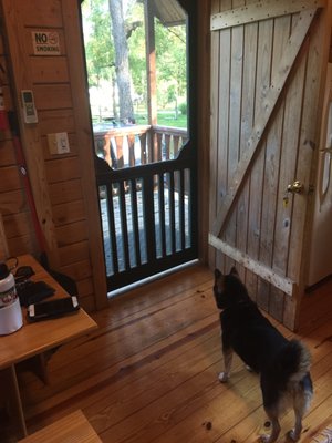 ROSE POINT PARK CABINS & CAMPING - Updated October 2025 - 14 Photos ...