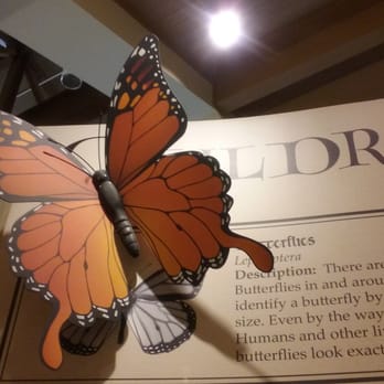 FRAZIER PARK BRANCH KERN COUNTY LIBRARY - Updated July 2025 - 3732 Park ...