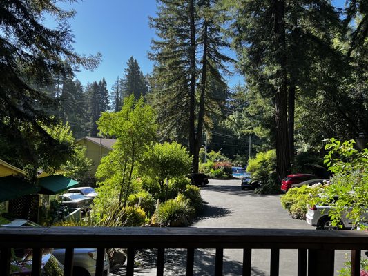 FERN GROVE COTTAGES - Updated December 2025 - 122 Photos & 130 Reviews ...