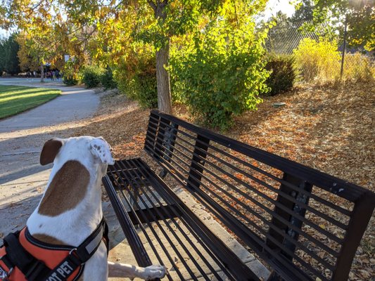 CRYSTAL LAKES PARK - Updated August 2024 - 22 Photos & 10 Reviews ...