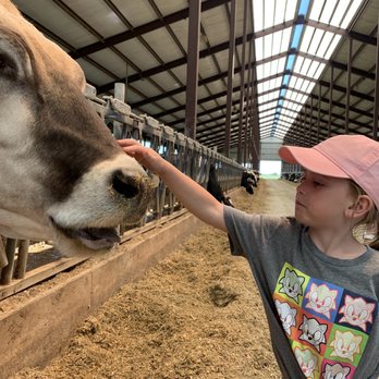 SASSY COW CREAMERY - Updated September 2024 - 123 Photos & 69 Reviews ...