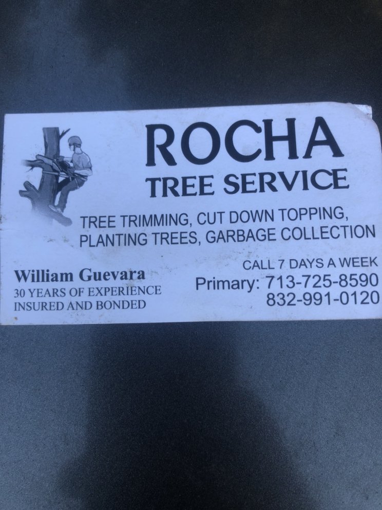 ROCHA TREE SERVICE - Updated November 2025 - Houston, Texas - Tree ...