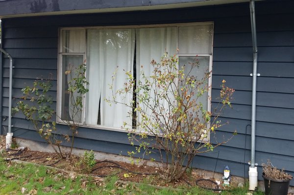 REGLAZE WINDOW & INSTALLATIONS - Updated August 2025 - 33 Photos & 92 ...