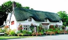 THE HOLLY BUSH INN - Updated January 2026 - Willowmore Banks, Salt ...