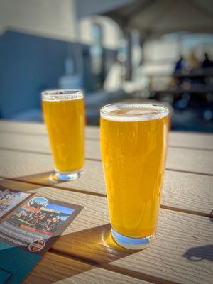 SILVER SPRUCE BREWING - Updated January 2025 - 60 Photos & 58 Reviews ...