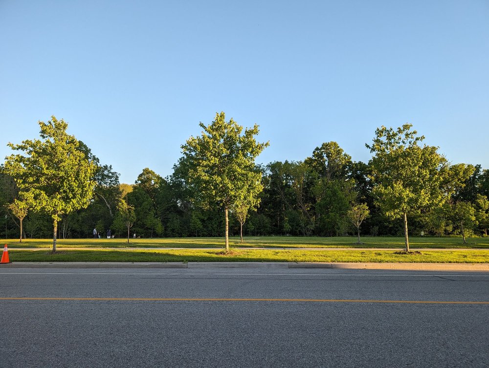 DRAGONFLY PARK - Updated April 2026 - 14 Photos - 379 Rougeside ...