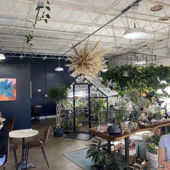 DANDY LION COFFEE - Updated December 2024 - 229 Photos & 116 Reviews ...