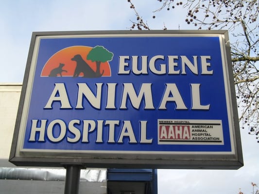 EUGENE ANIMAL HOSPITAL - Updated August 2025 - 12 Photos & 42 Reviews ...